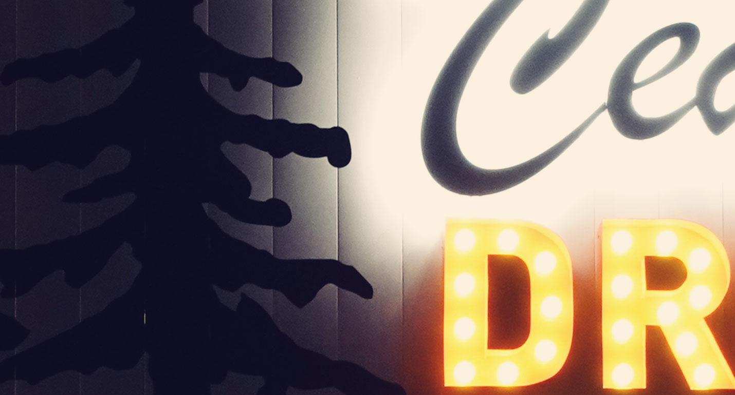 South Cedar DRIVE INN